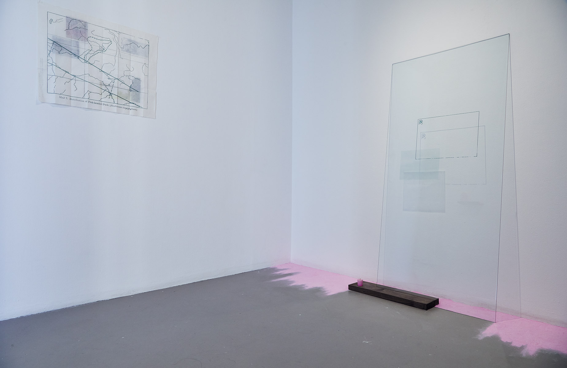 Yue Ren – SAIC Undergraduate Exhibition