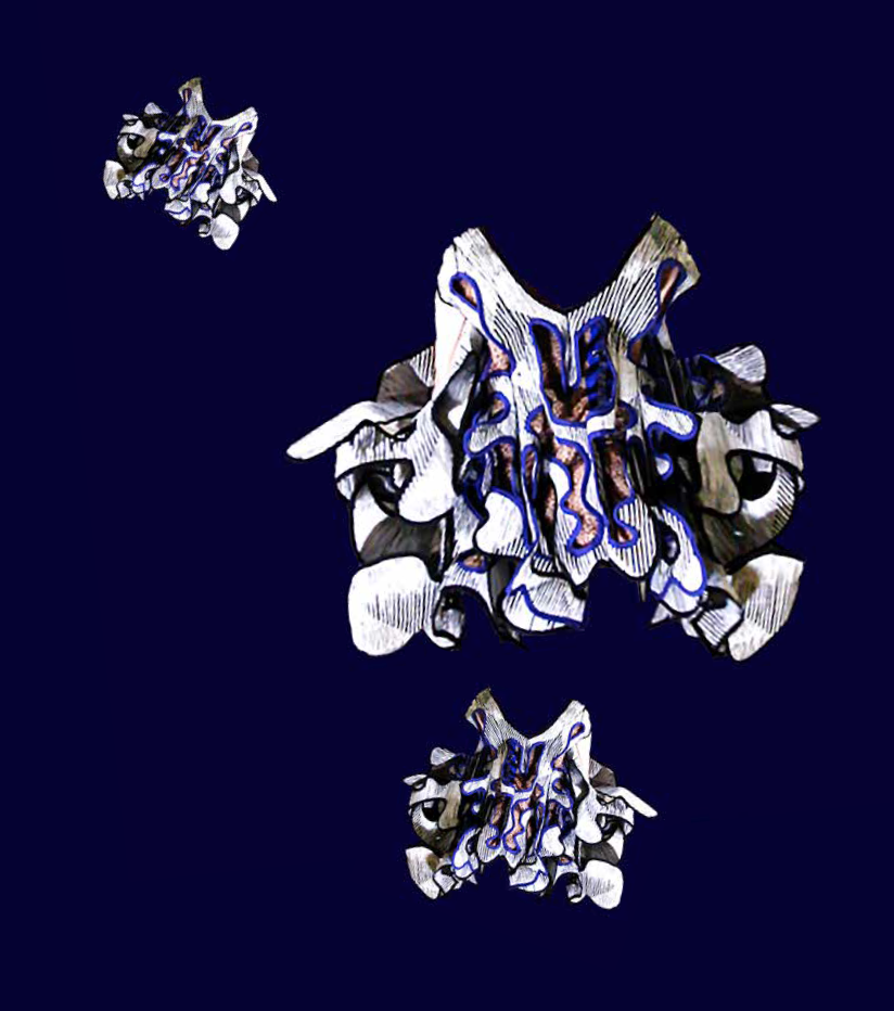 Alexandra Avery – Fashion 2020