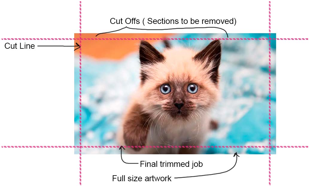 File Set Up Overview: Full Bleed vs No Bleed Cards – SAIC Service Bureau