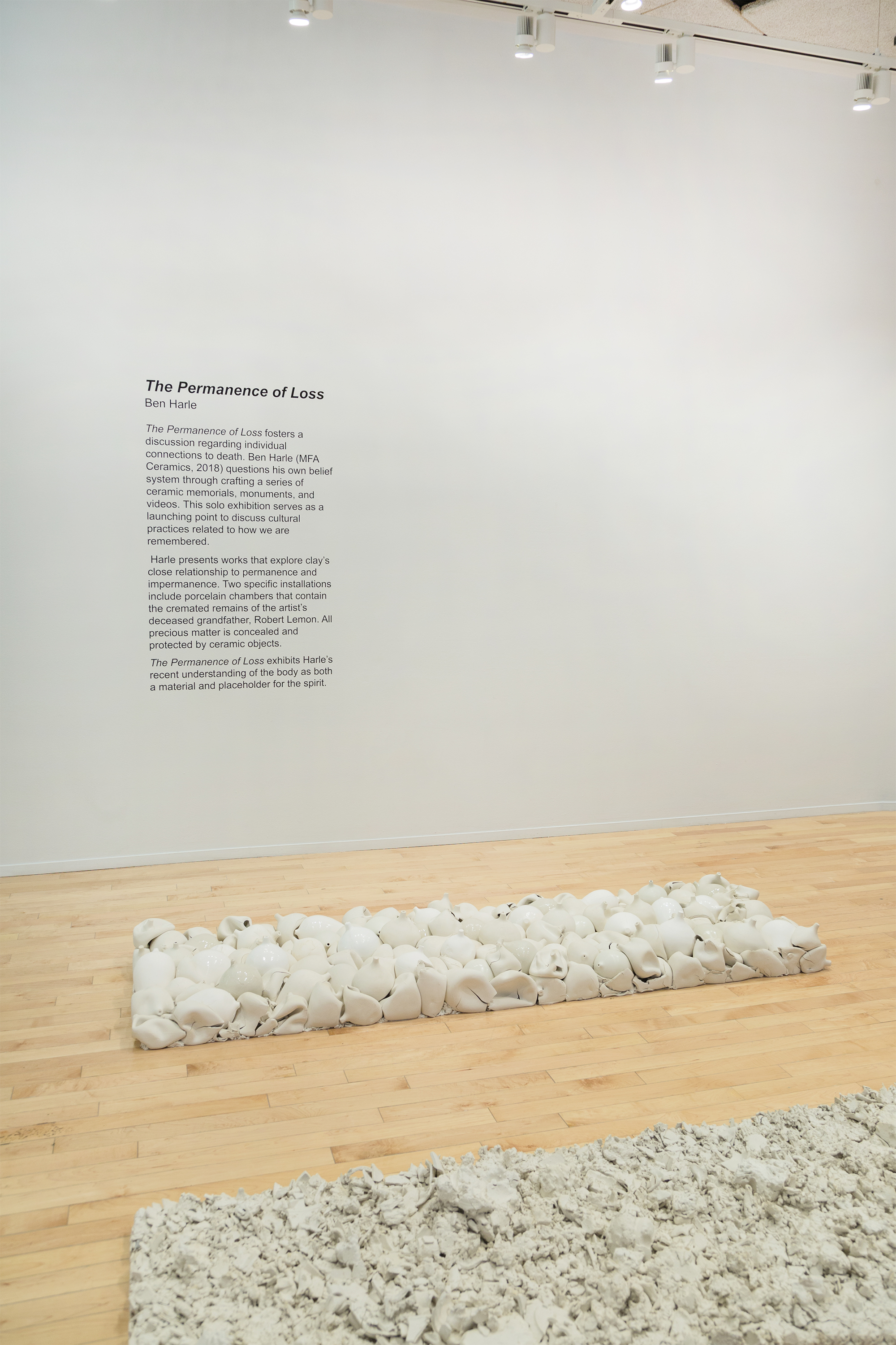 The Permanence of Loss | SITE Galleries