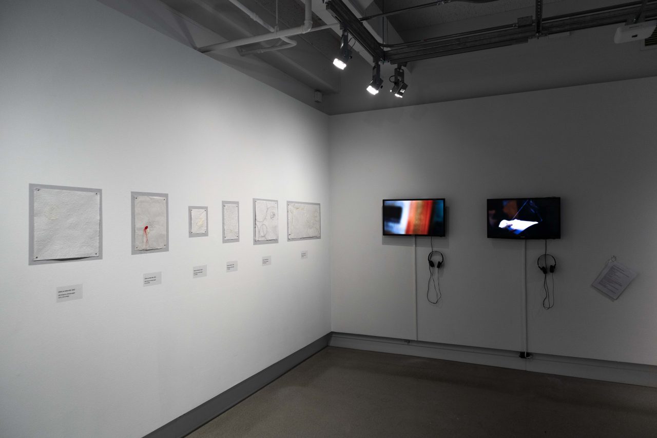 Tracing with the thread -Lace on enclosed tideland | SITE Galleries