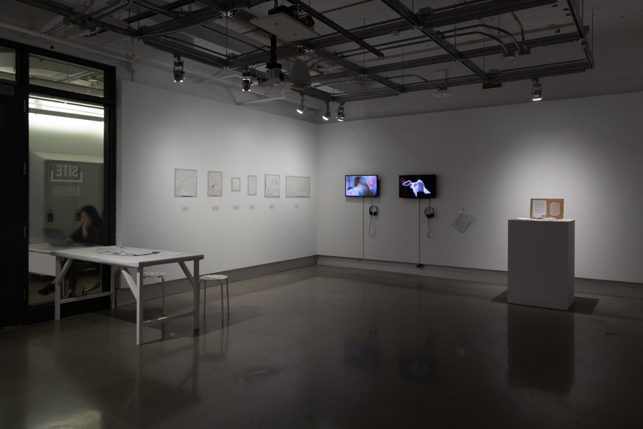 Tracing with the thread -Lace on enclosed tideland | SITE Galleries