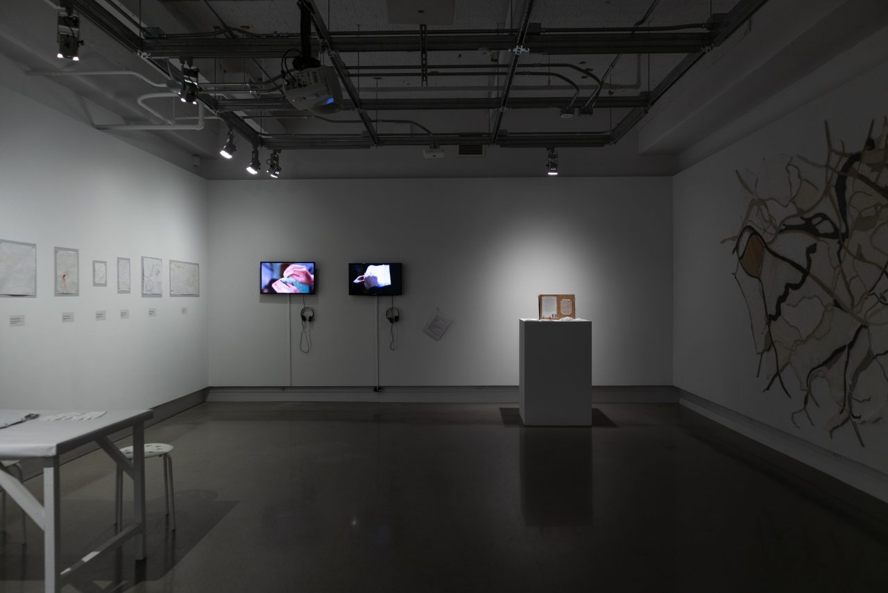 Tracing with the thread -Lace on enclosed tideland | SITE Galleries